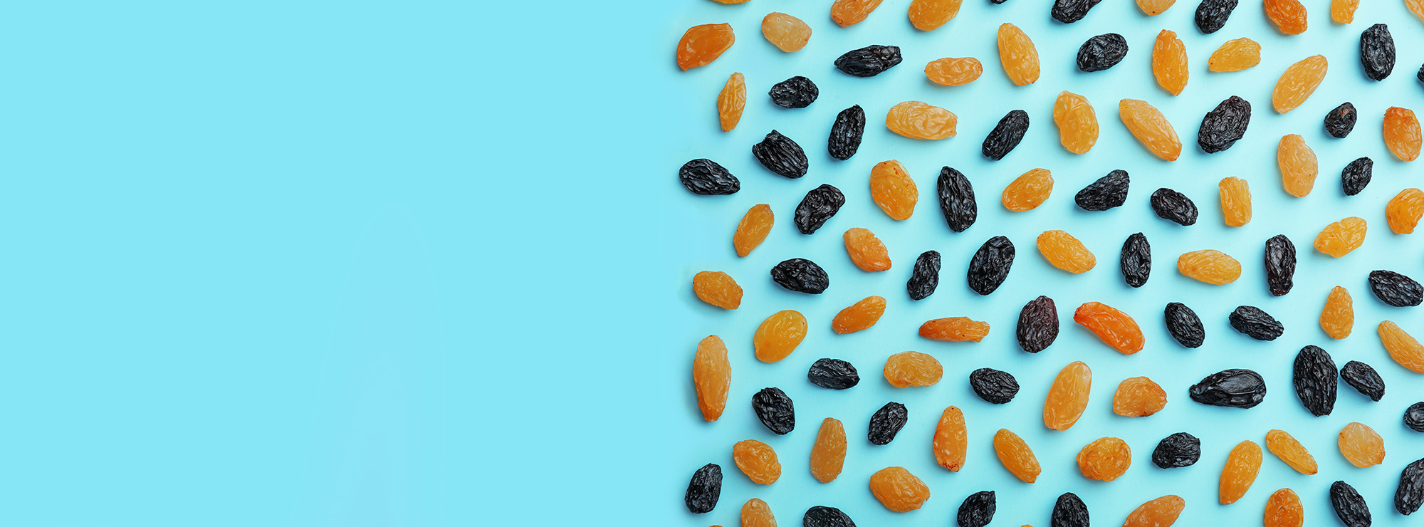 Raisins optical sorting machines | TOMRA