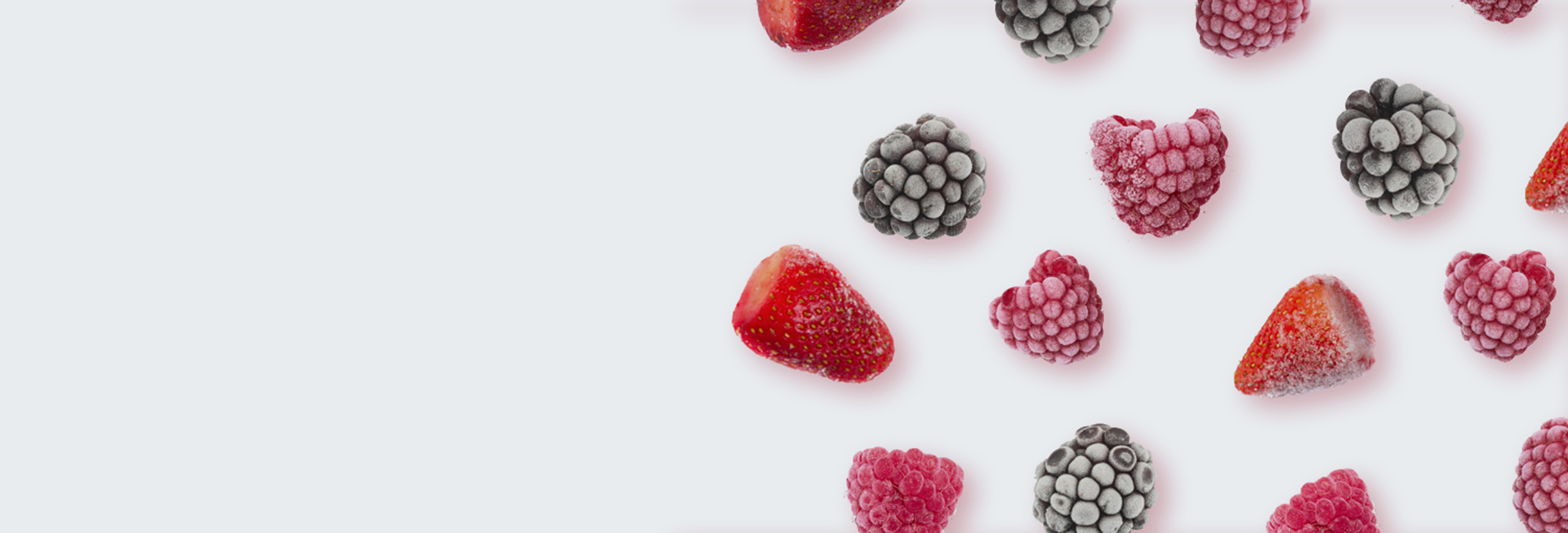 Berry sorting machines | TOMRA