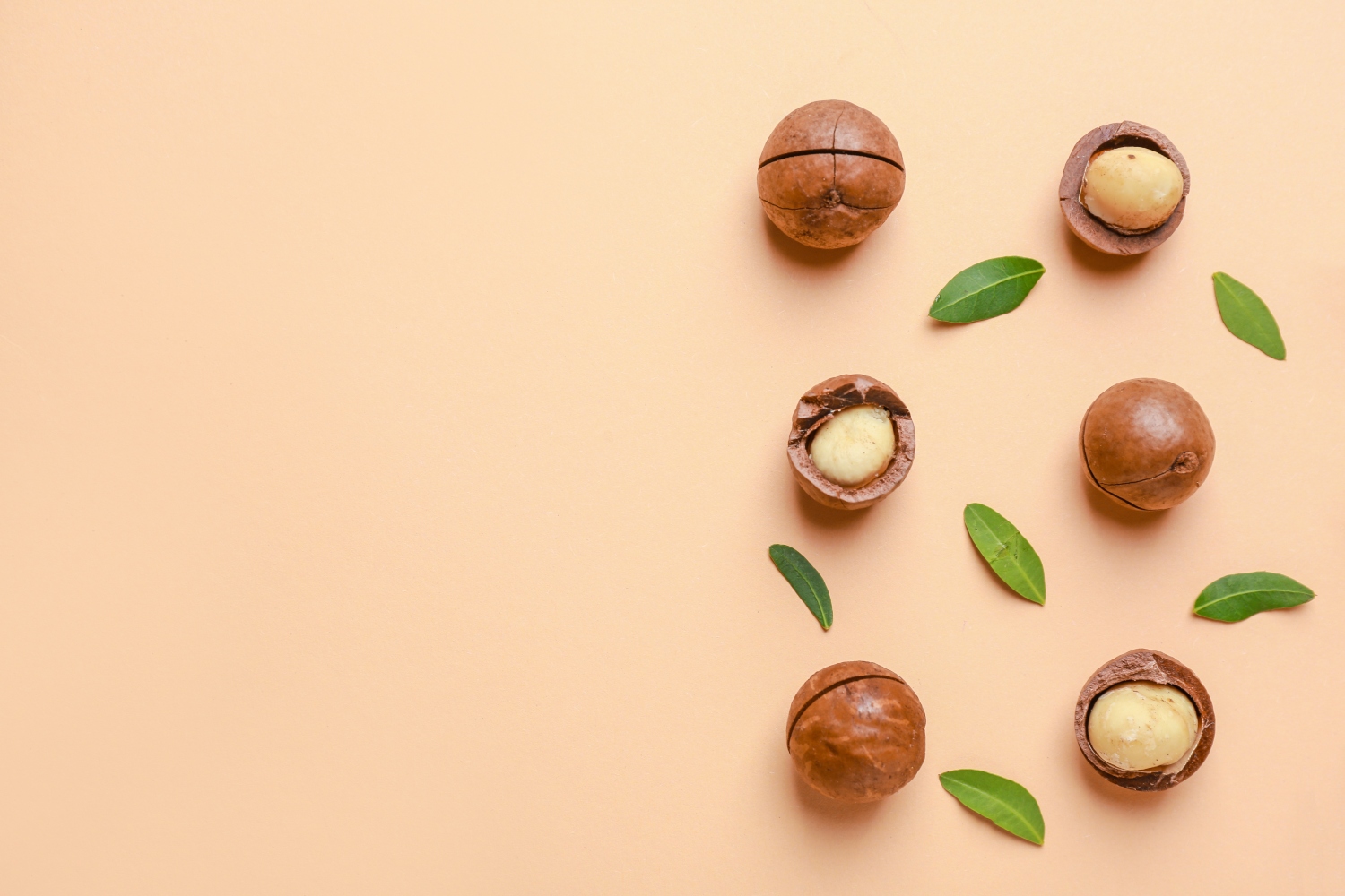 Macadamia optical sorting machine | Nut processing equipment | TOMRA