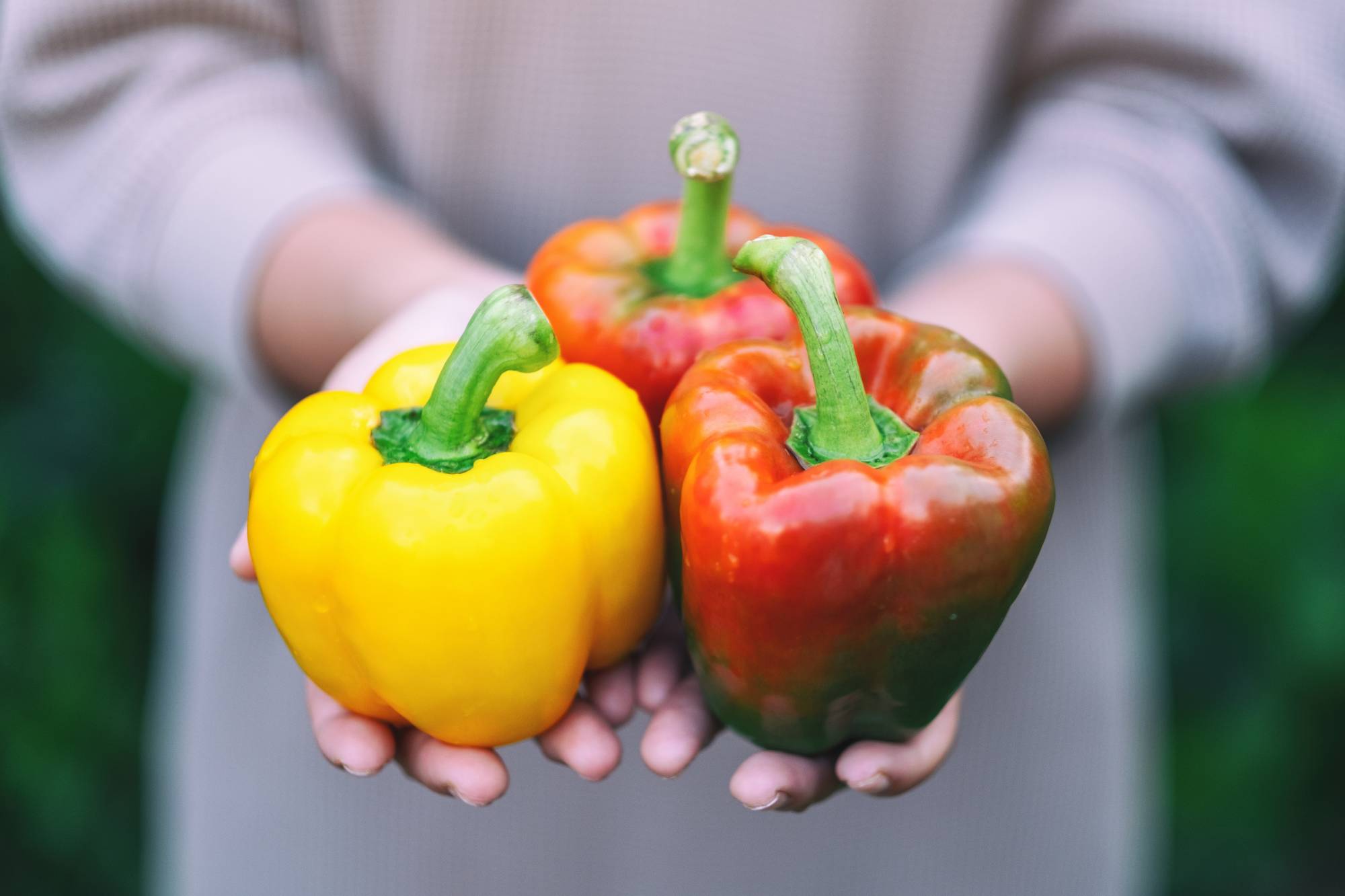 Sorting solutions for Bell peppers | TOMRA