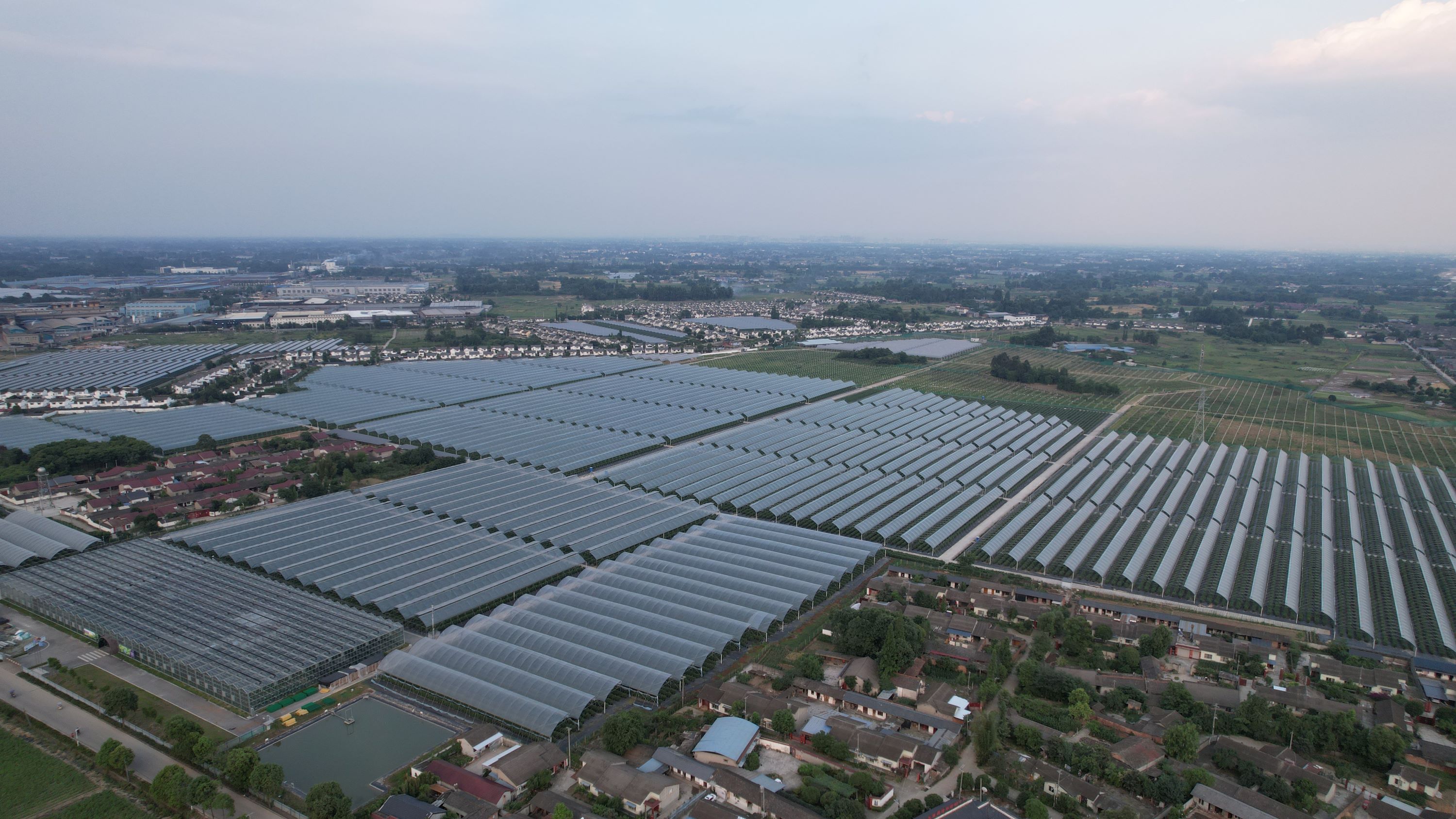 Explore Sichuan blueberry grower's automated packhouse | TOMRA