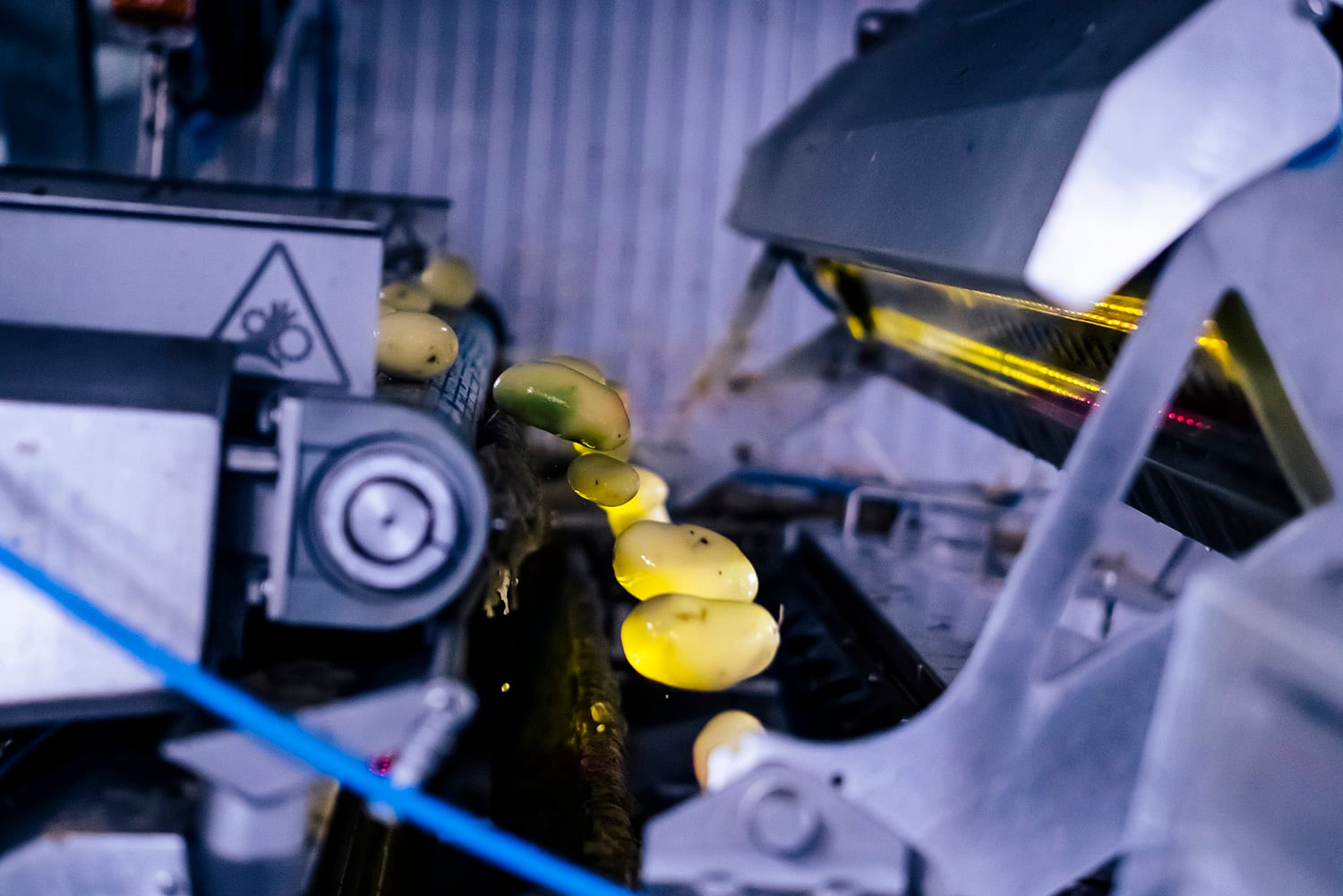 Steam Peeling Solutions for Efficient Food Processing | TOMRA