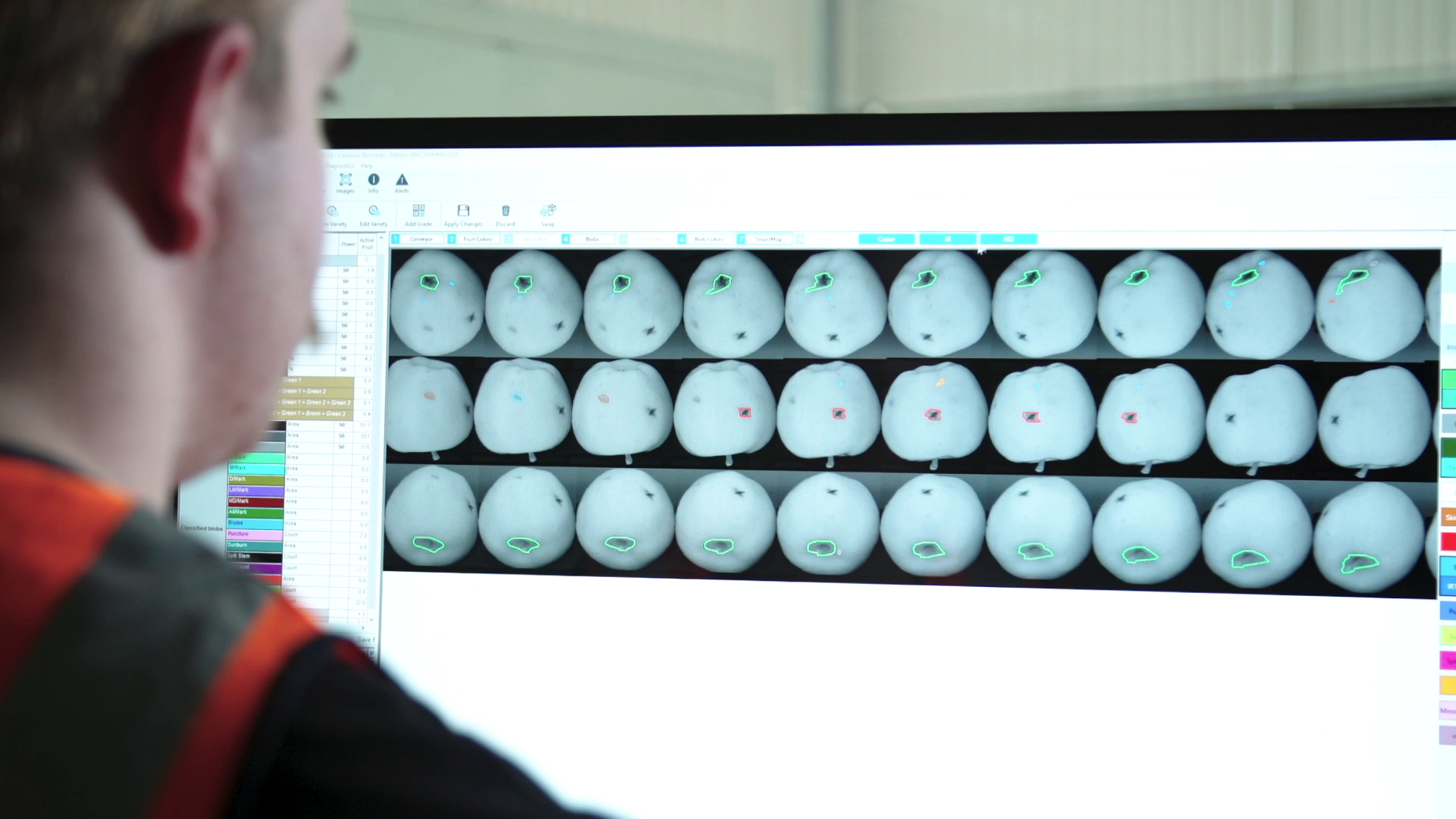 A Spotlight on AI in Food Sorting Technology | TOMRA