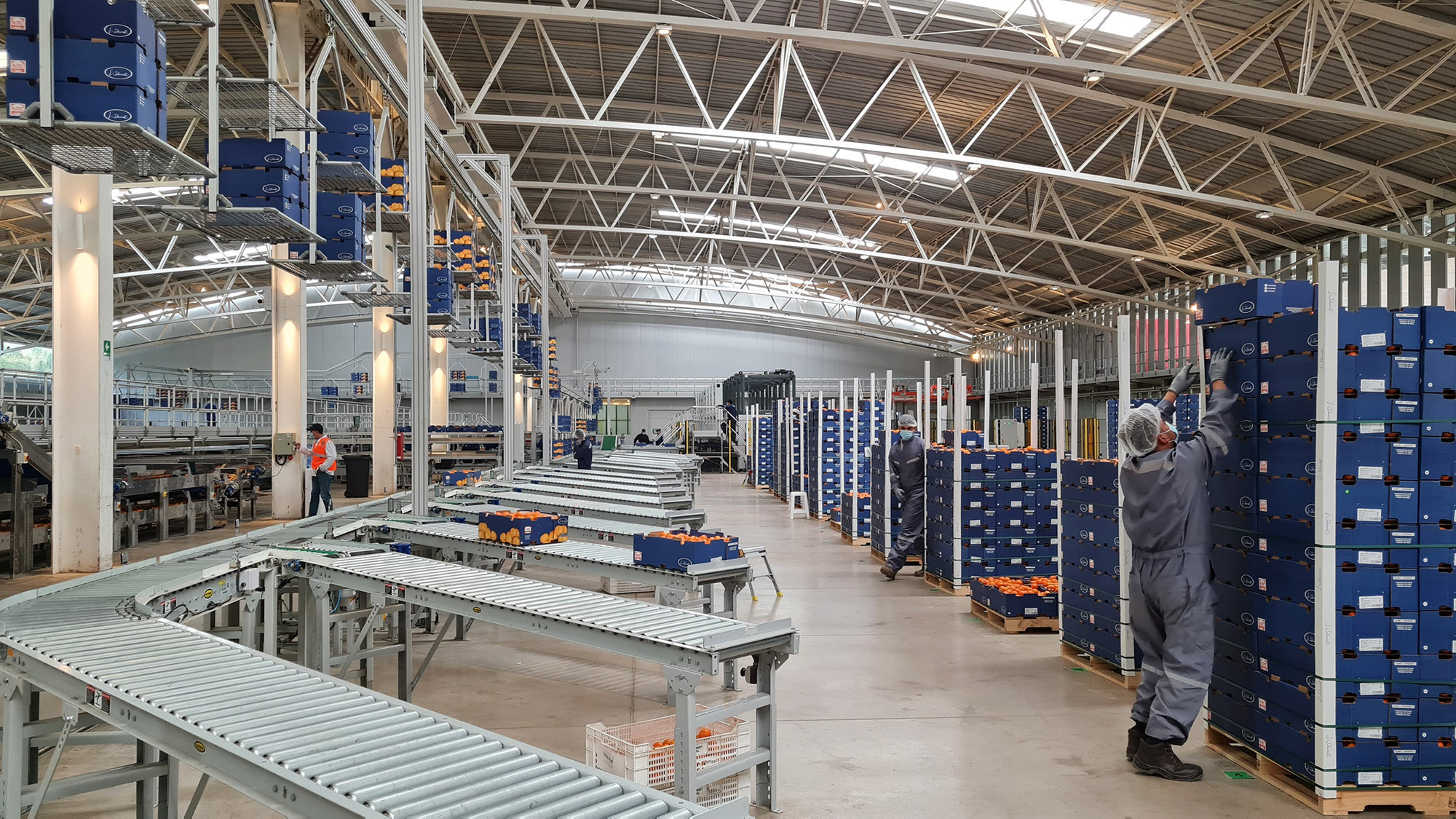 Gentle Box Filler | TOMRA