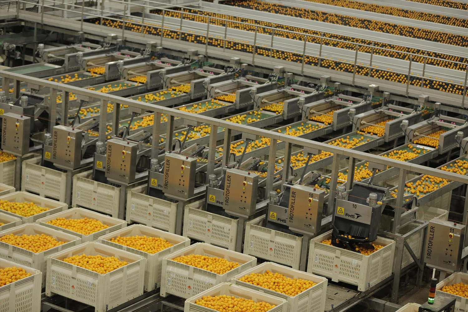 Allgemeine Geschäftsbedingungen – TOMRA Fresh Food - TOMRA