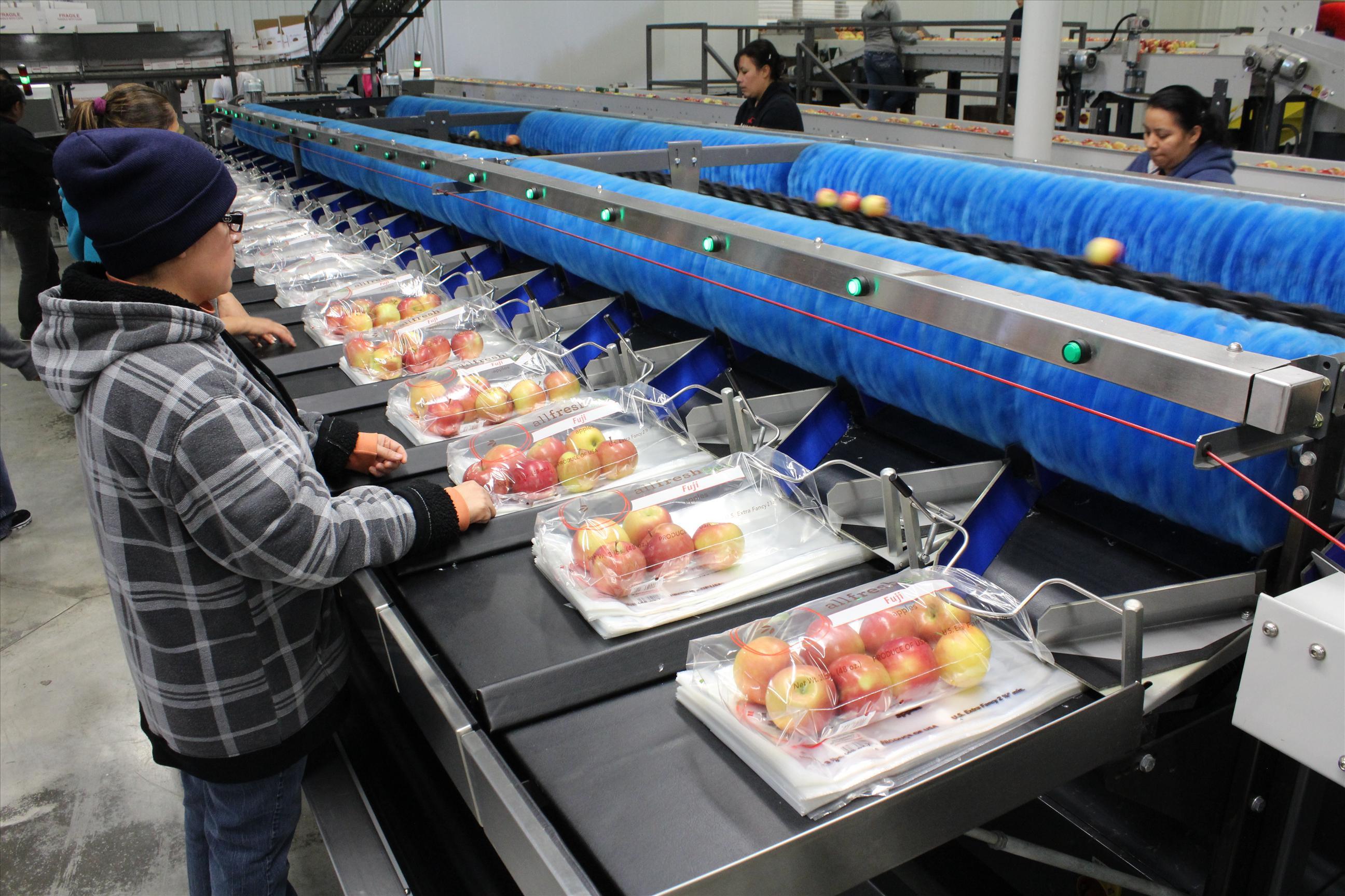Ein- und zweibahnige Sortiereinheiten - TOMRA