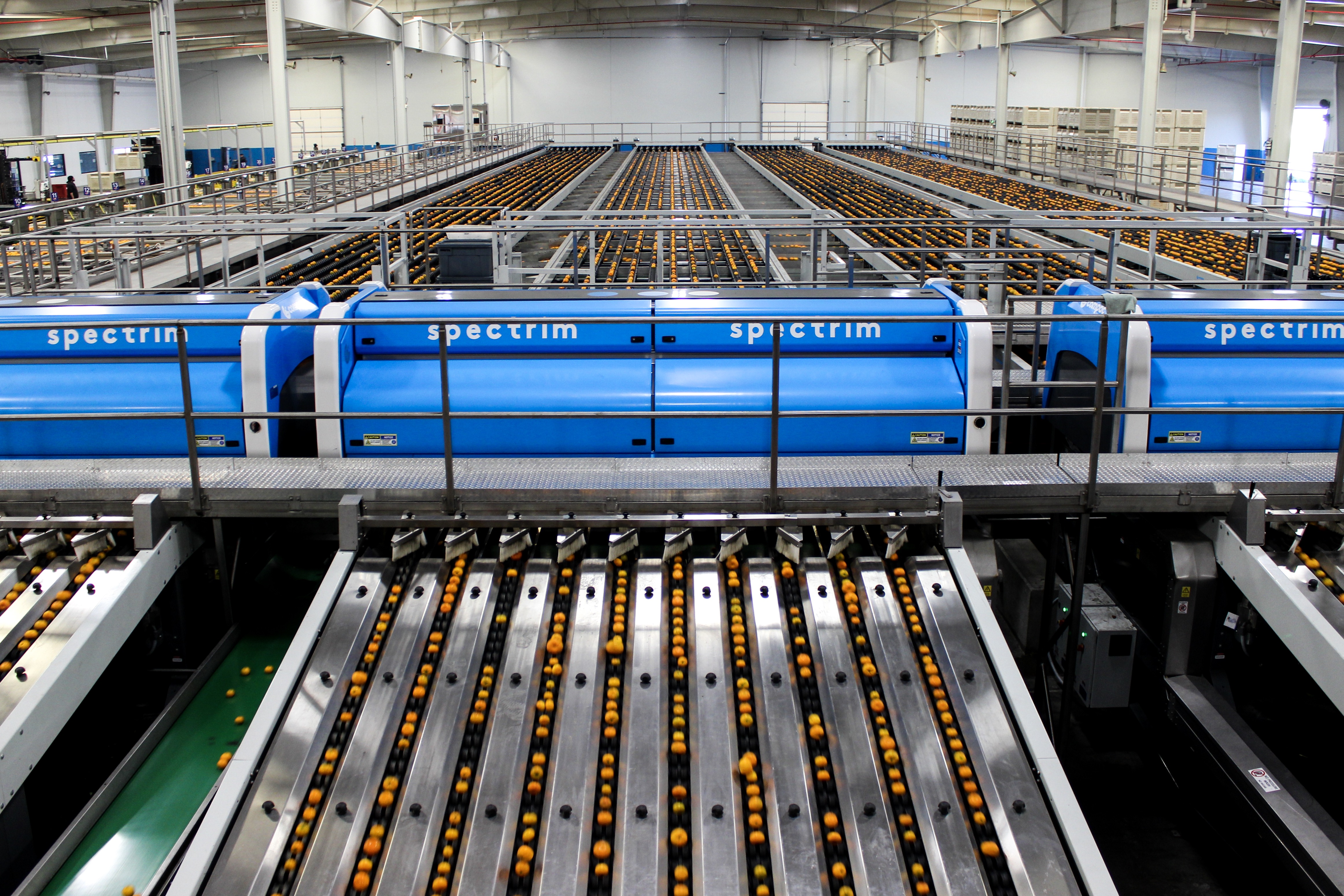 SPECTRIM with LUCAi Machine | TOMRA