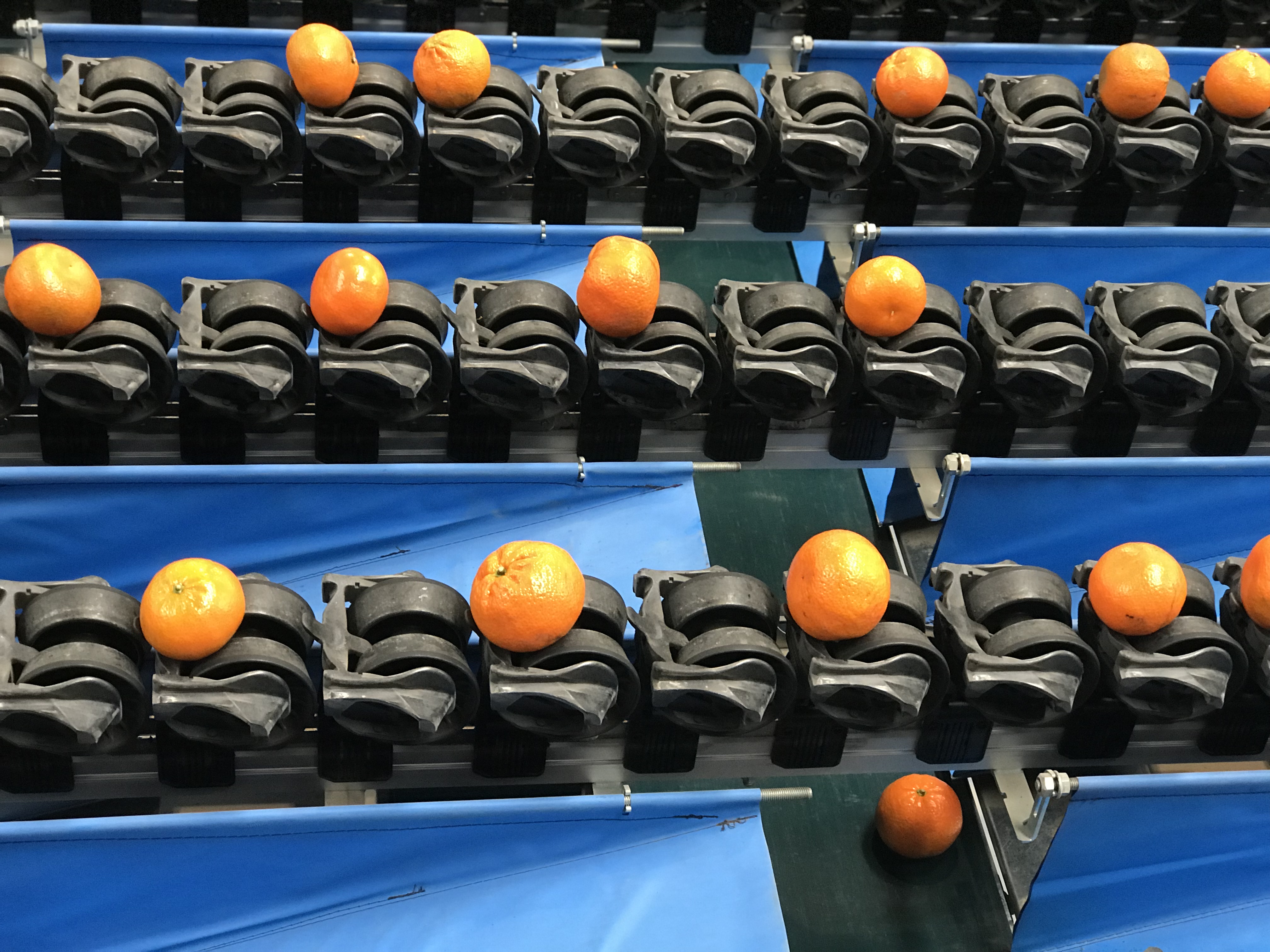 TOMRA Food technology | TOMRA