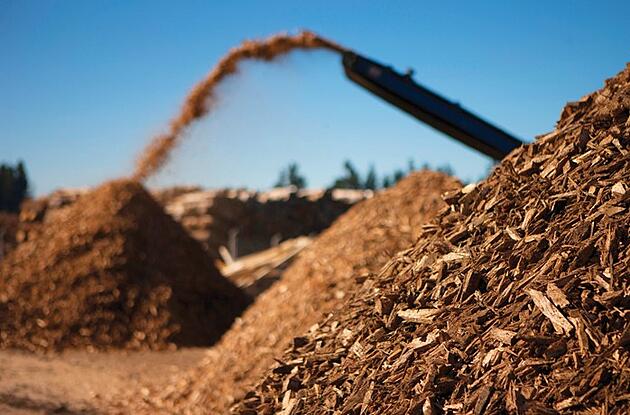 Wood recycling: from waste to resource | TOMRA